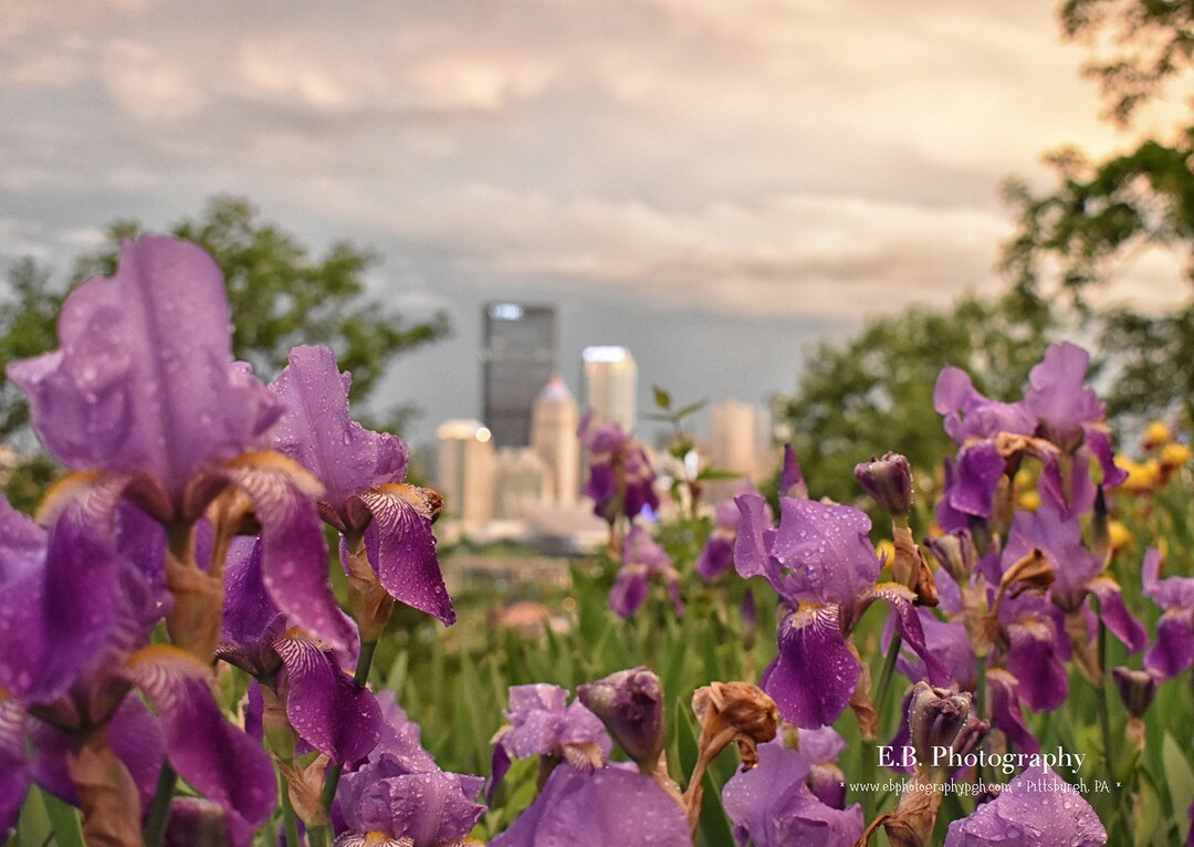 Pittsburgh Skyline, Spring Landscapes, City Landscapes, Landscape ...