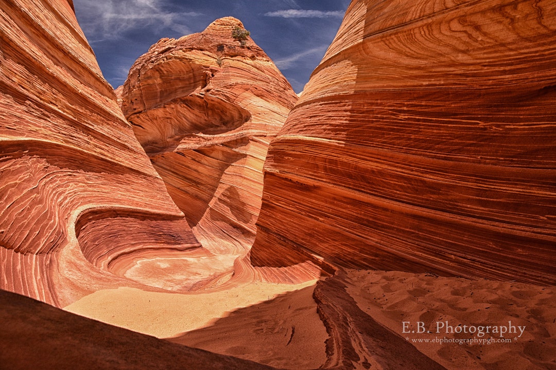 The Wave - Vermillion Cliffs National Monument - Arizona - Desert ...