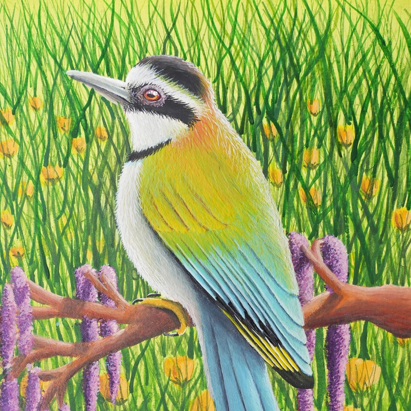 Bee Eater - Etsy