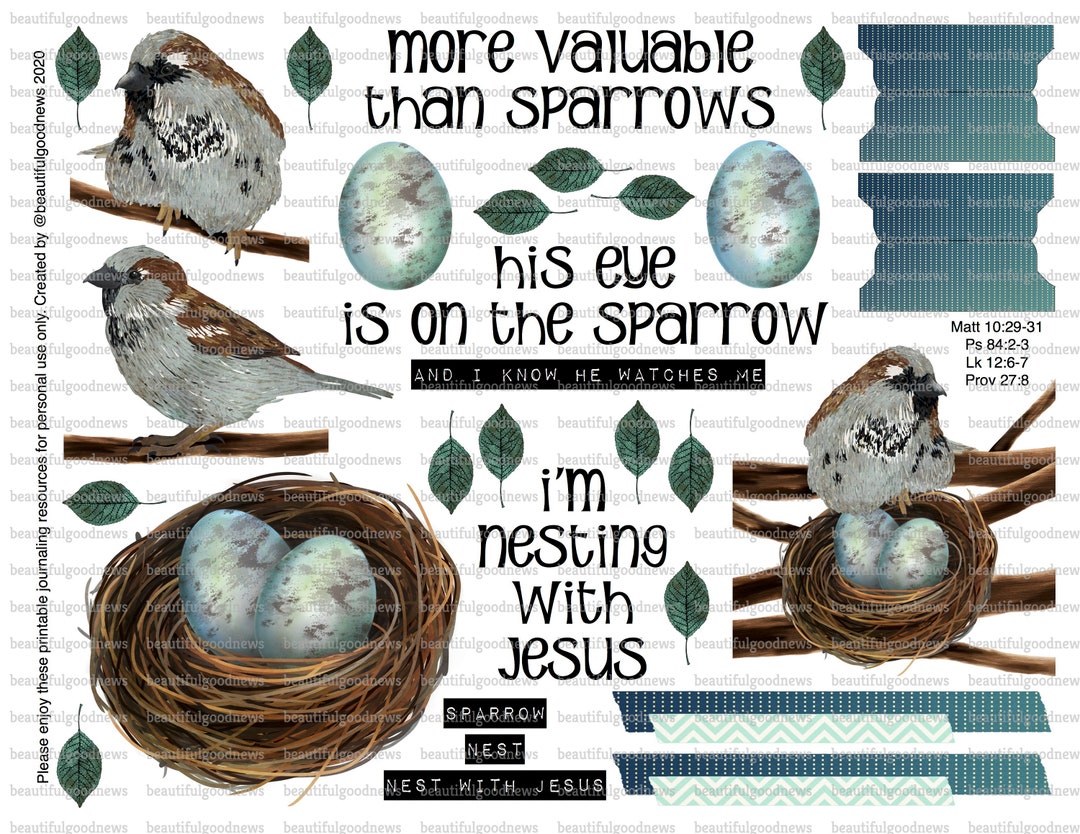Nest With Jesus, Sparrow, Beautifulgoodnews, Bible Journaling ...