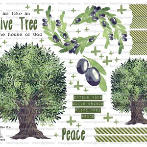Olive Tree, Trees of the Bible, Beautifulgoodnews, Bible Journaling ...