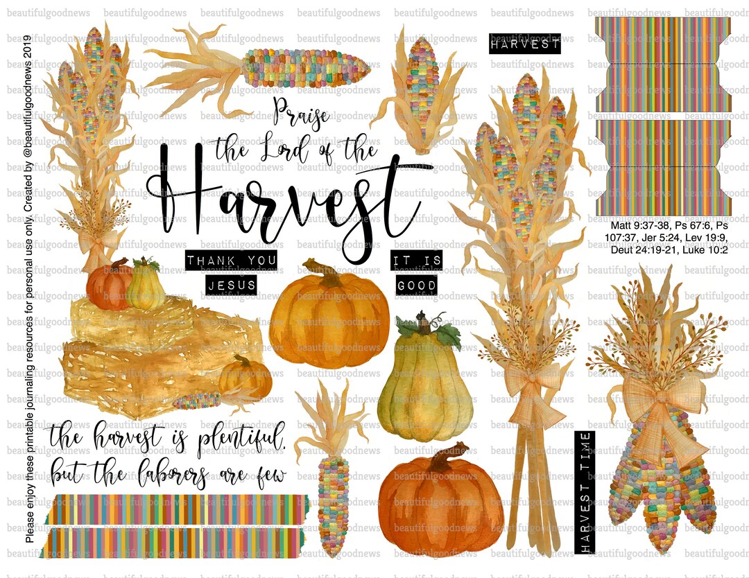 Harvest Time, Corn, Fall, Beautifulgoodnews, Bible Journaling ...