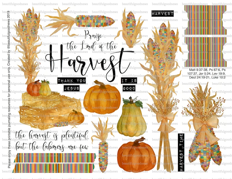 Harvest Time Corn Fall Beautifulgoodnews Bible Journaling - Etsy