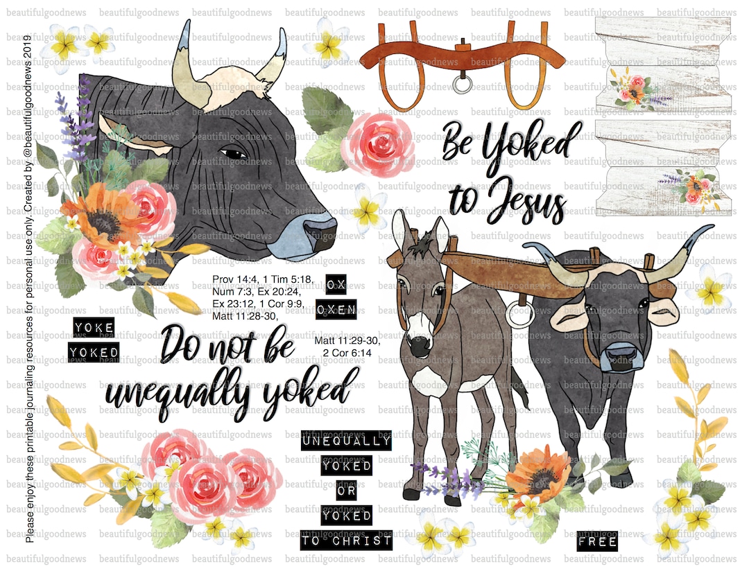 Yoked to Jesus, Ox, Beautifulgoodnews, Bible Journaling, Traceable ...