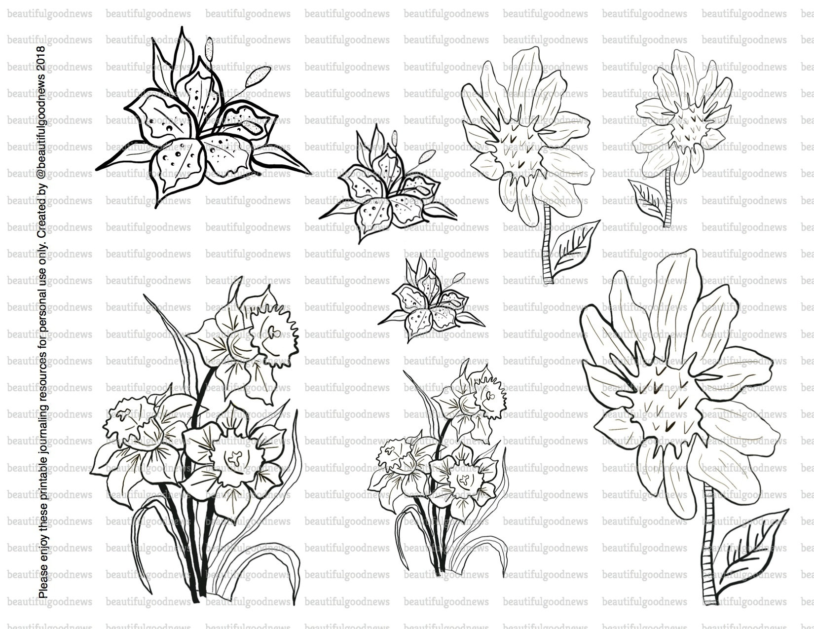 Flowers, Daisy, Daffodil, Lily, Spring, Bible Journaling, Traceable ...