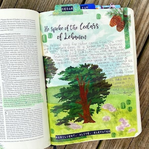 Cedar, Trees of the Bible, Beautifulgoodnews, Bible Journaling ...