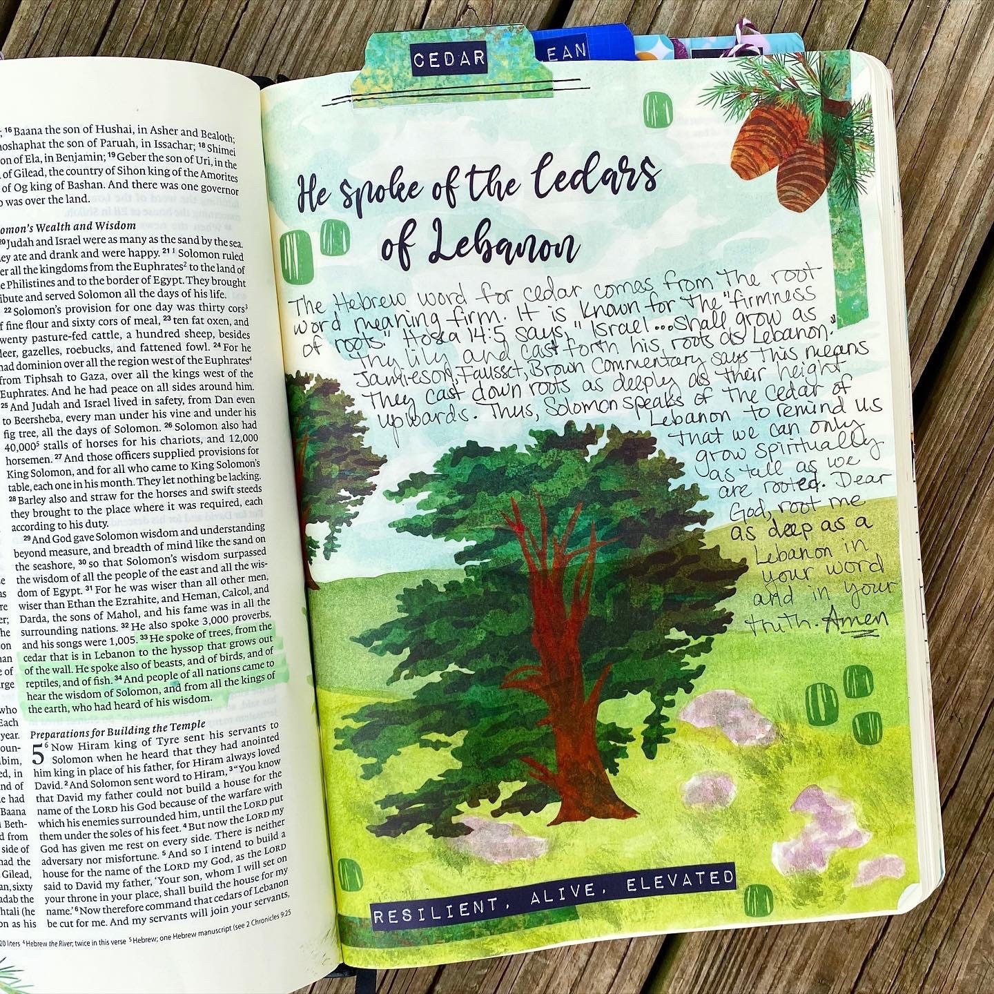 Cedar Trees of the Bible Beautifulgoodnews Bible | Etsy