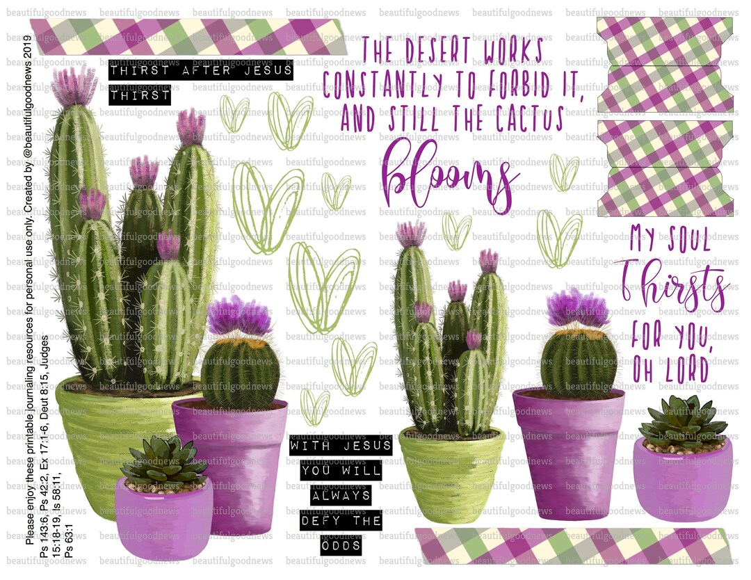 Blooms in the Desert, Beautifulgoodnews, Cactus, Cacti, Bible ...