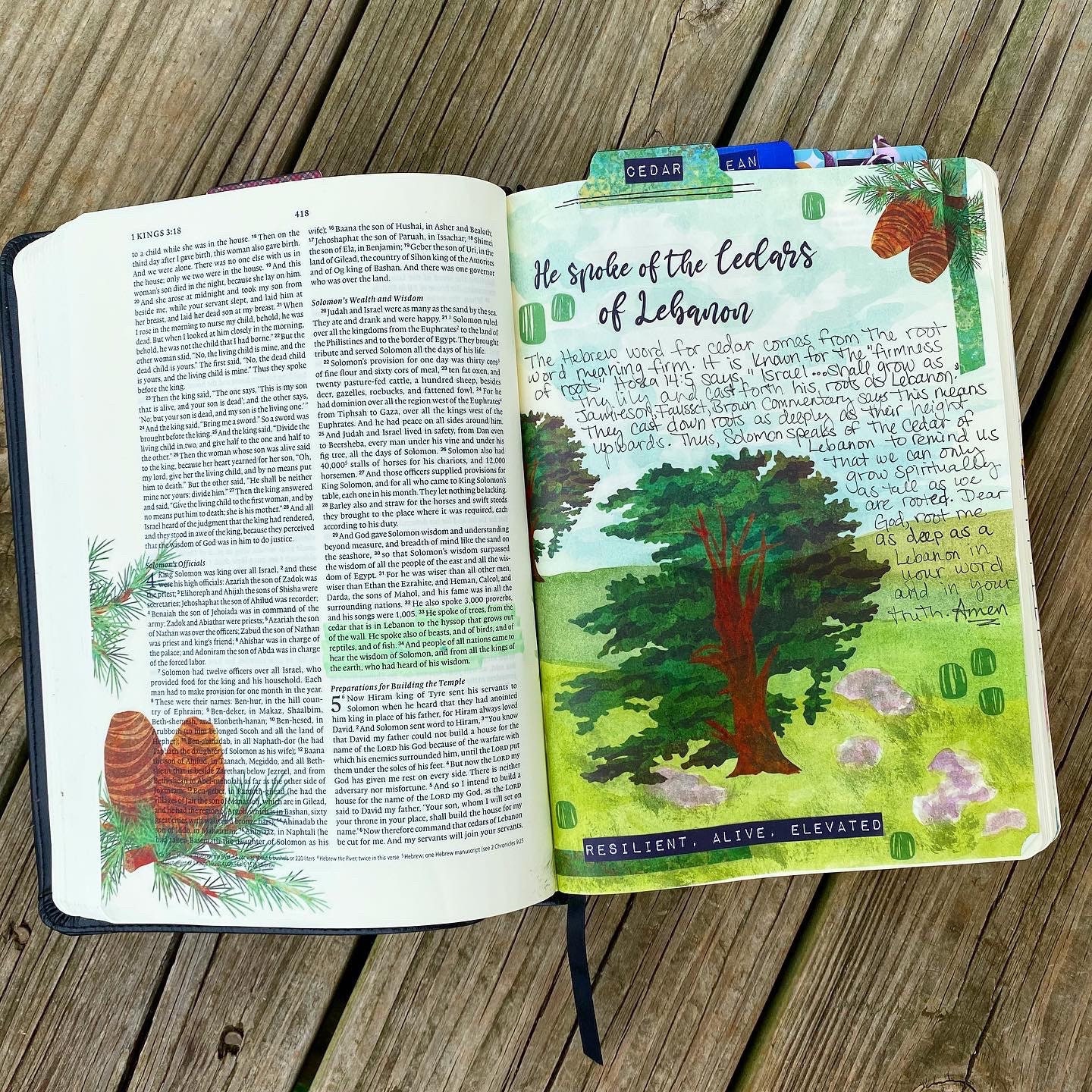 Cedar Trees of the Bible Beautifulgoodnews Bible | Etsy