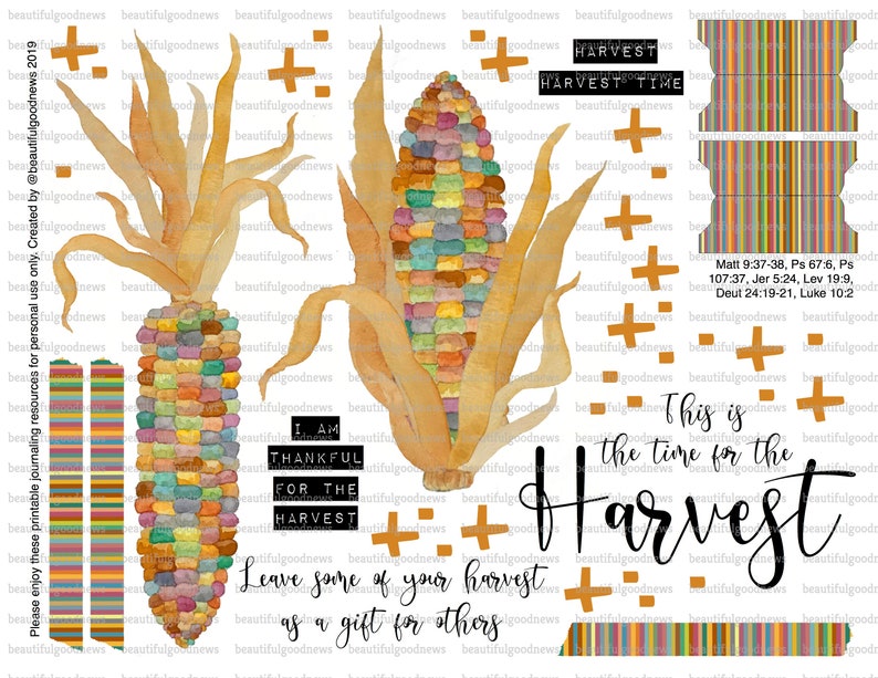 Harvest Time, Corn, Fall, Beautifulgoodnews, Bible Journaling ...