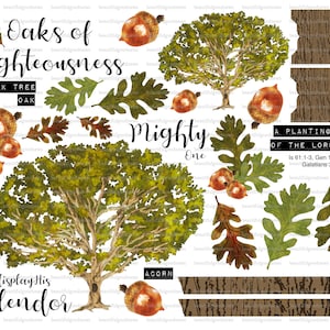 Oak Tree, Trees of the Bible, Beautifulgoodnews, Bible Journaling ...