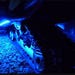 Snowmobile 4 Pcs LED Underglow Accent Lights Night Safety 12v - Etsy