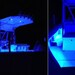 4 Pcs Blue LED Boat Lights Waterproof 12v - Etsy