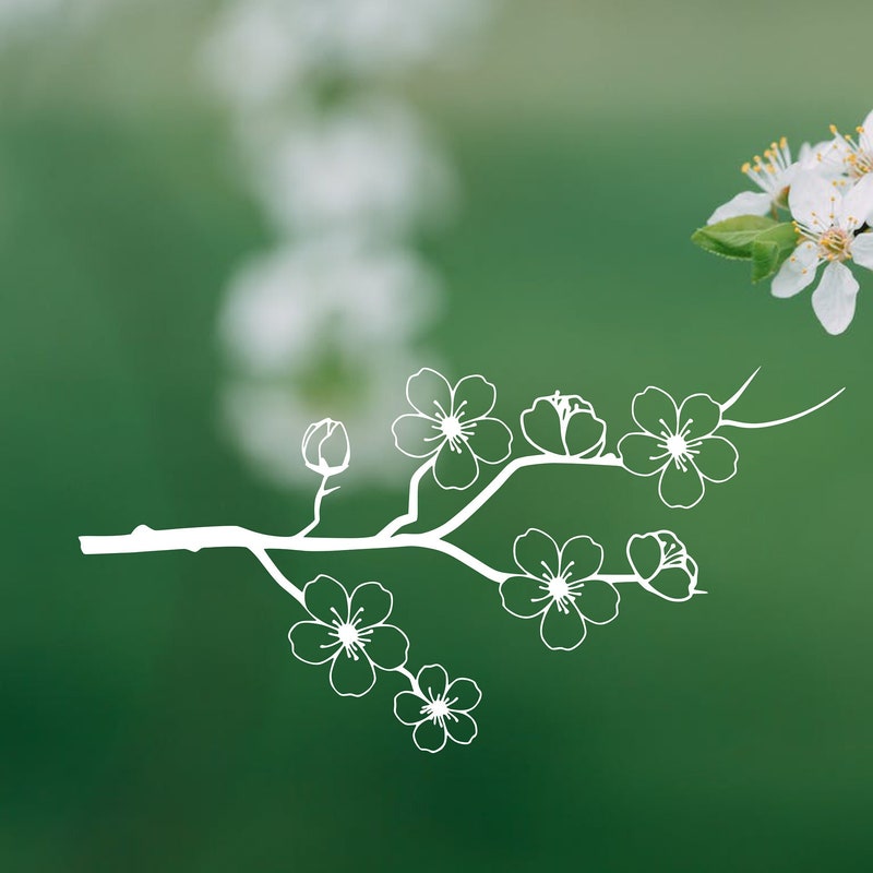 Cherry Blossom Decal - Etsy