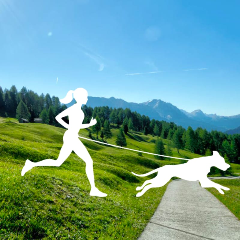 Running Decal - Etsy