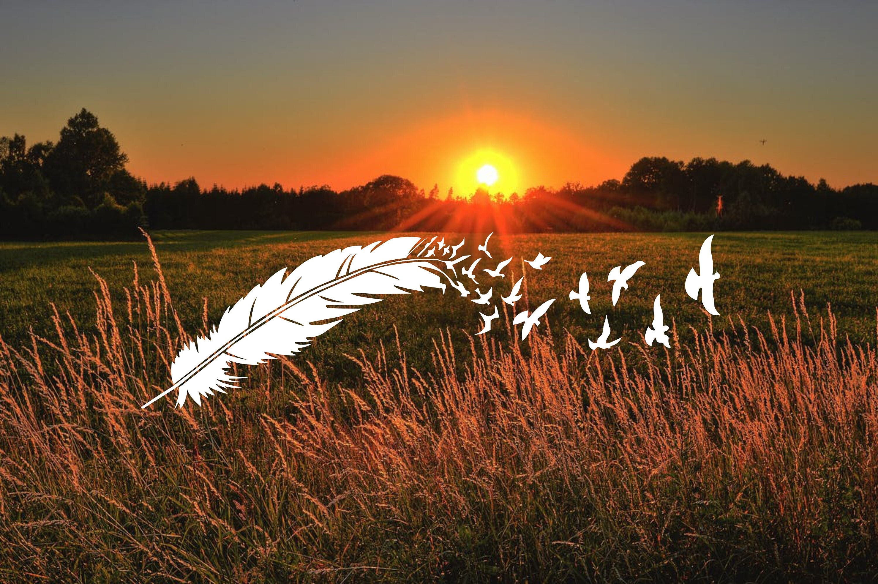 Feather Into Birds Vinyl Decal Feather With Flying Birds Etsy