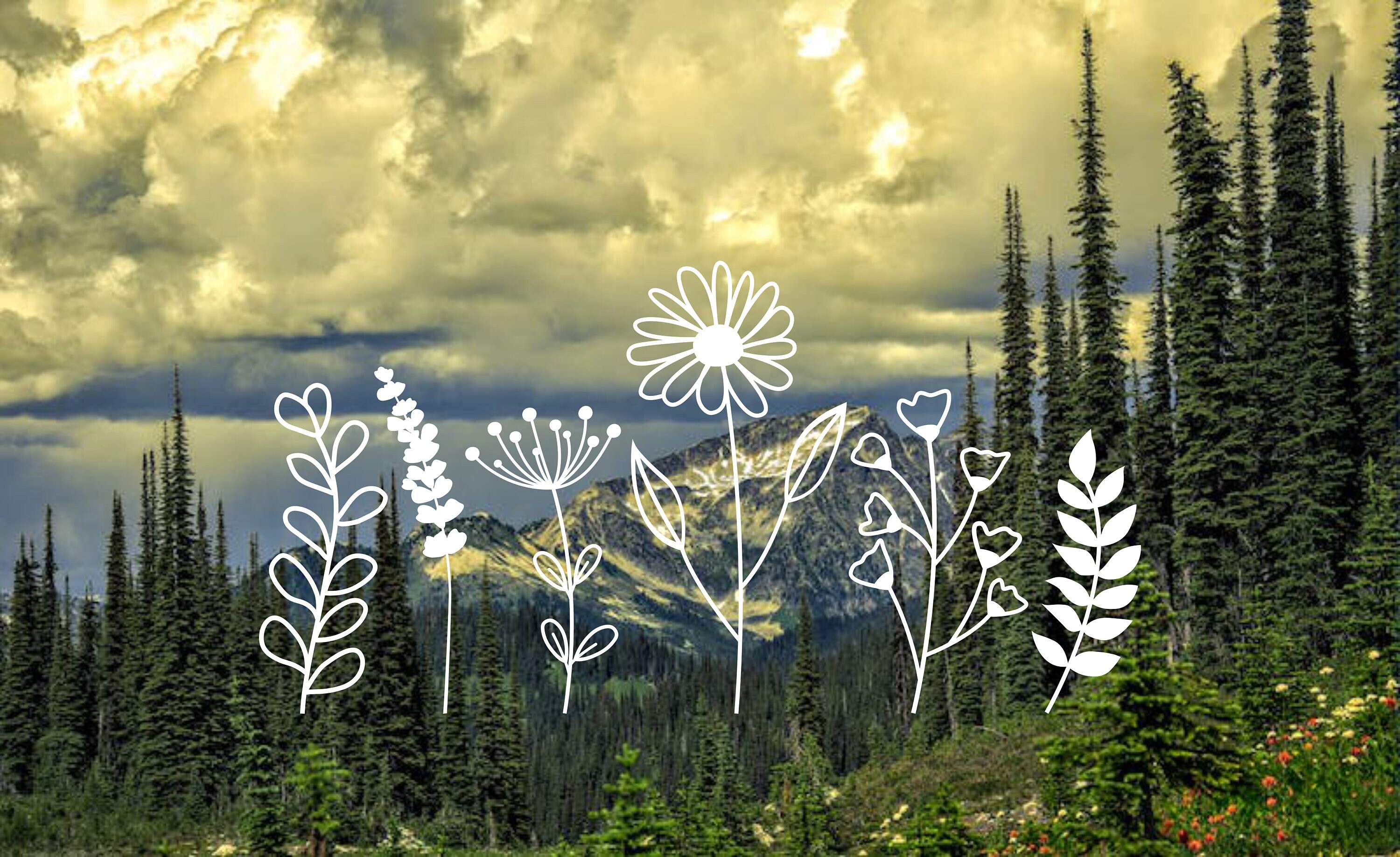 Wildflower Row Vinyl Decal Row of Wildflowers and Weeds - Etsy