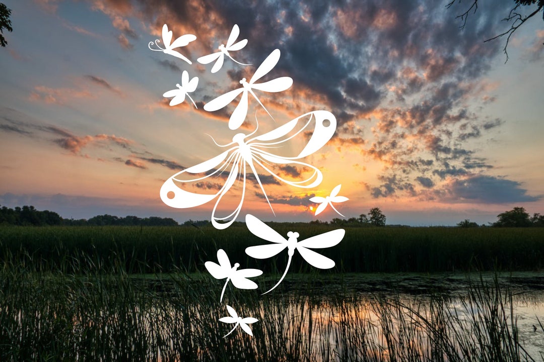 Dragonfly Swarm Vinyl Decal | Swarm of Flying Dragonflies Decal | Decal ...