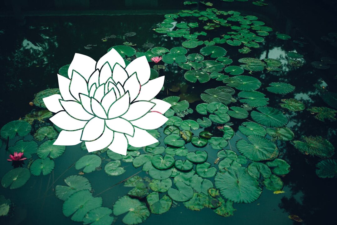 Lotus Flower Vinyl Decal Lotus Bloom Decal Lotus Flower Decal for Car ...