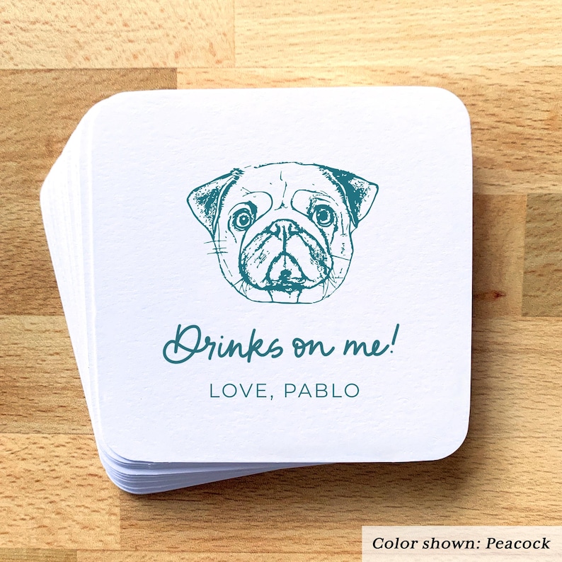 Custom Pet Portrait Coasters - Drinks on Me || Custom Dog, Cat ...
