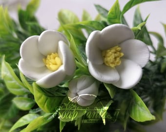 CANNABIS Leaf Silicone Mold Hemp Marijuana Natural Circle Soap Mold ...