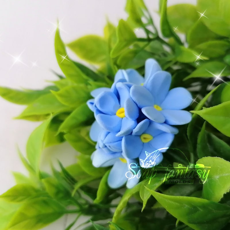 Forget Me Not Silicone Mould - Etsy