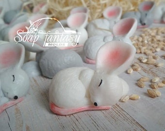 Mouse Sitting on a Piece of Cheese 3D Silicone Mold, Soap Mould, Candle ...