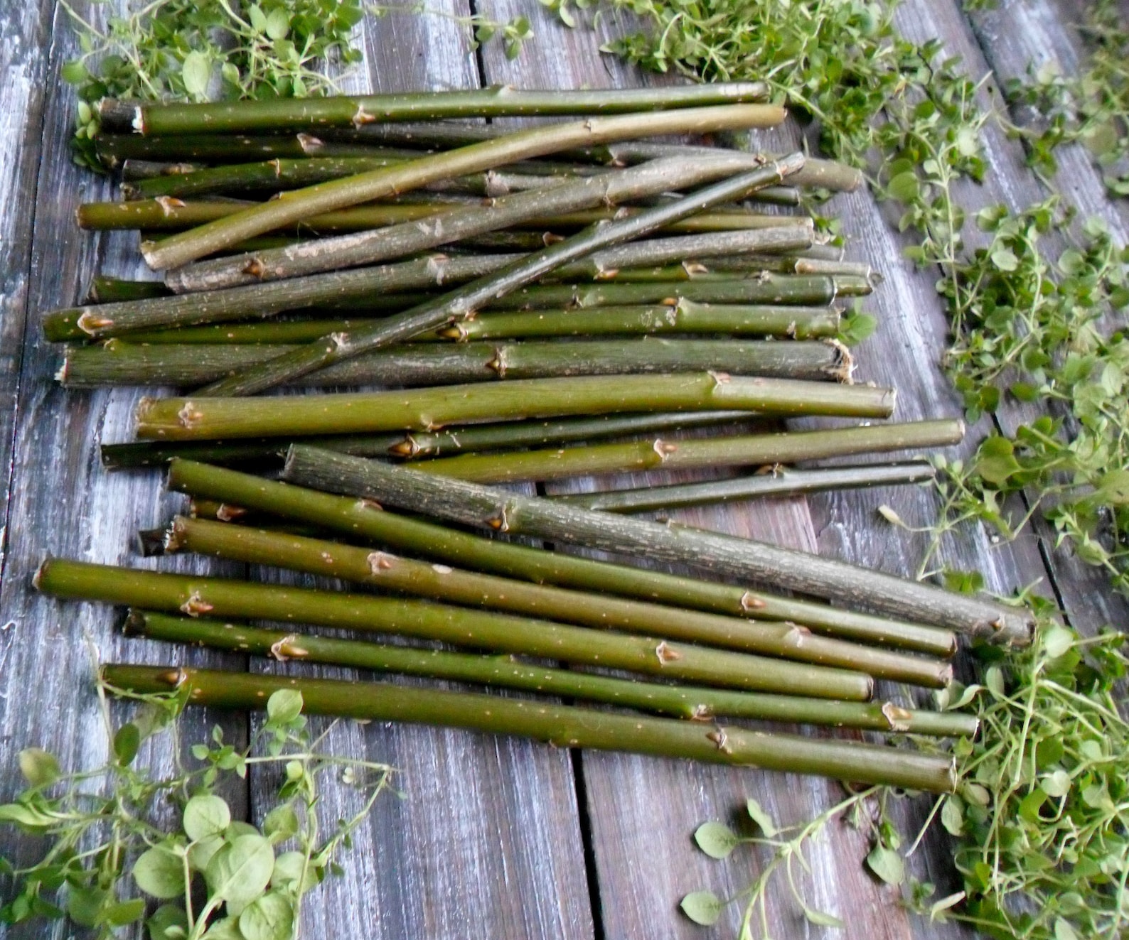 Willow Bundle of 25 Material for Needlework Dry Branches Wood | Etsy UK