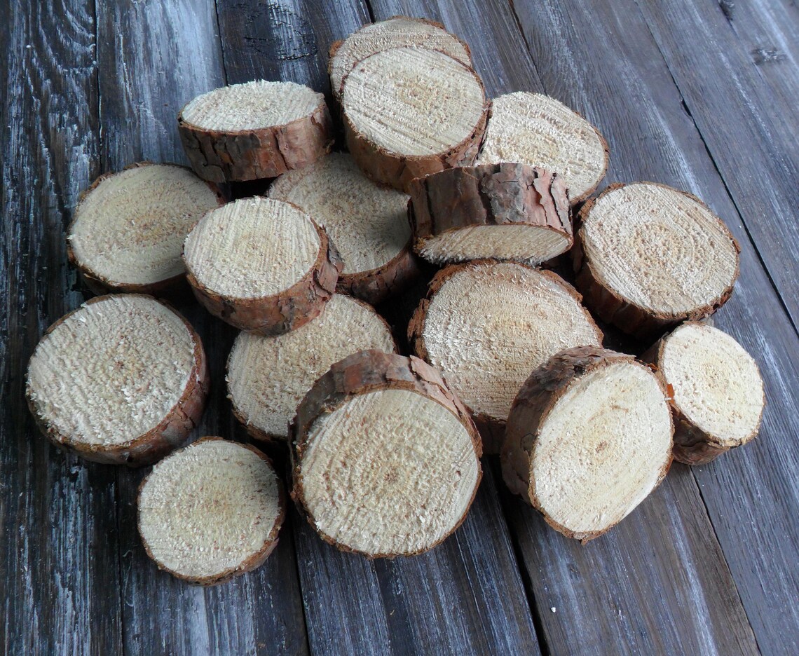 13 Natural Wood Slices DIY Wooden Craft Wood Slices Circles | Etsy