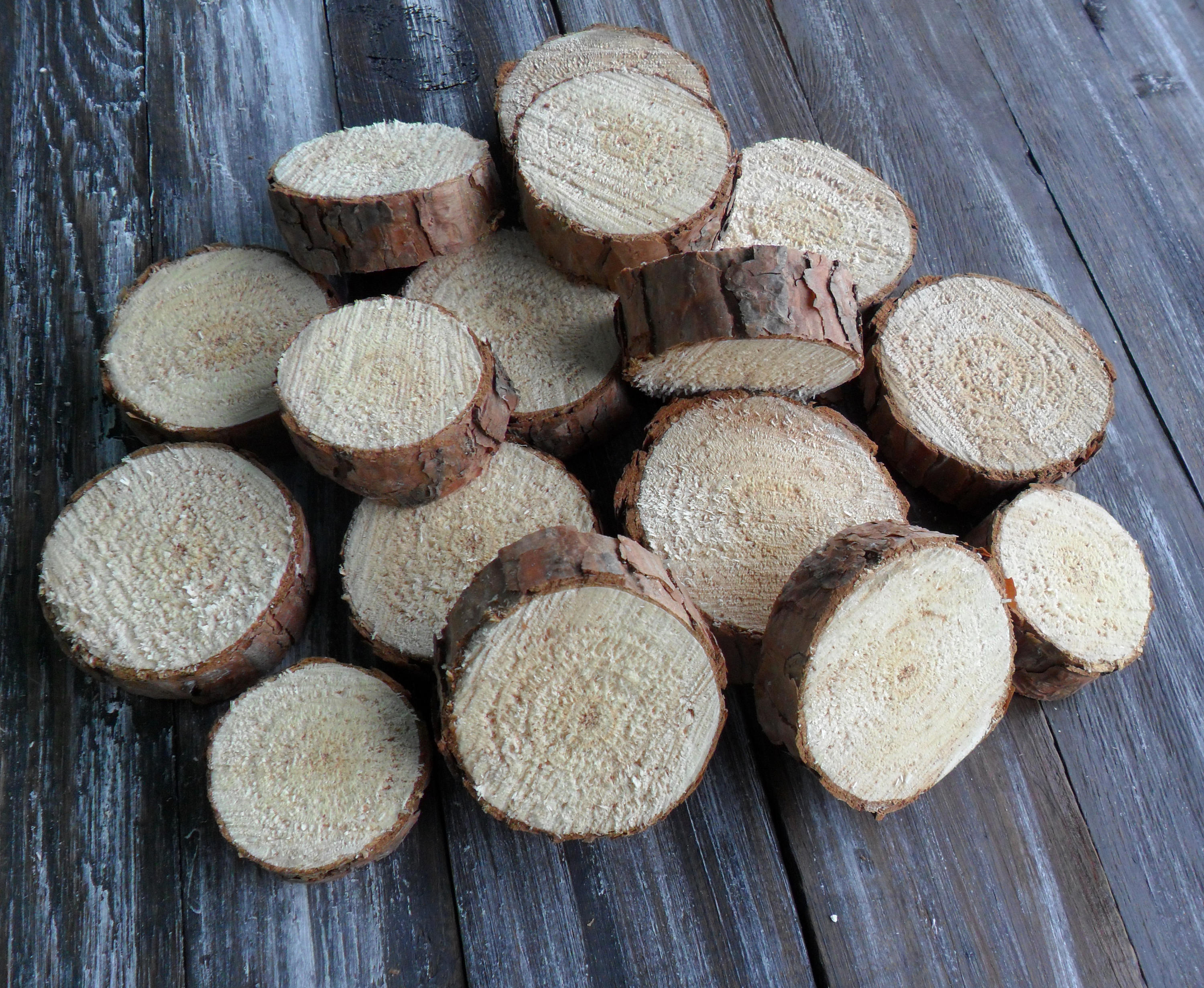 13 Natural Wood Slices DIY Wooden Craft Wood Slices Circles - Etsy