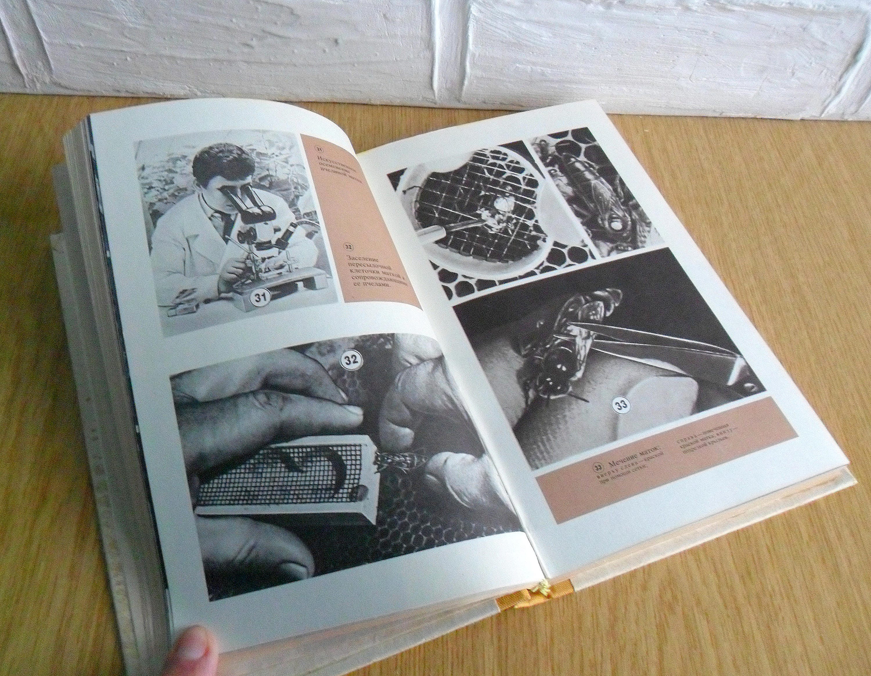 Producing Honey Bee Book Instructional Guide Honey Book Making - Etsy