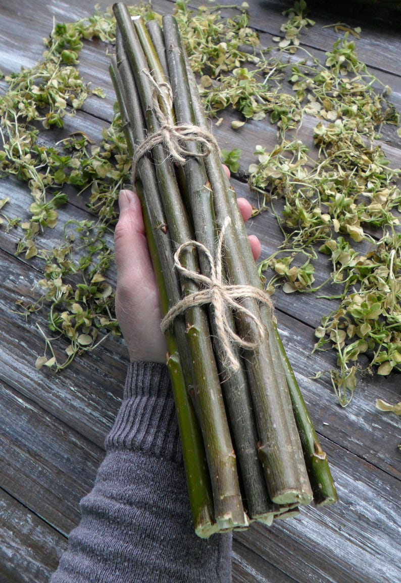 Willow Sticks Set of 20 Pcs 12 Long Dry Branches - Etsy