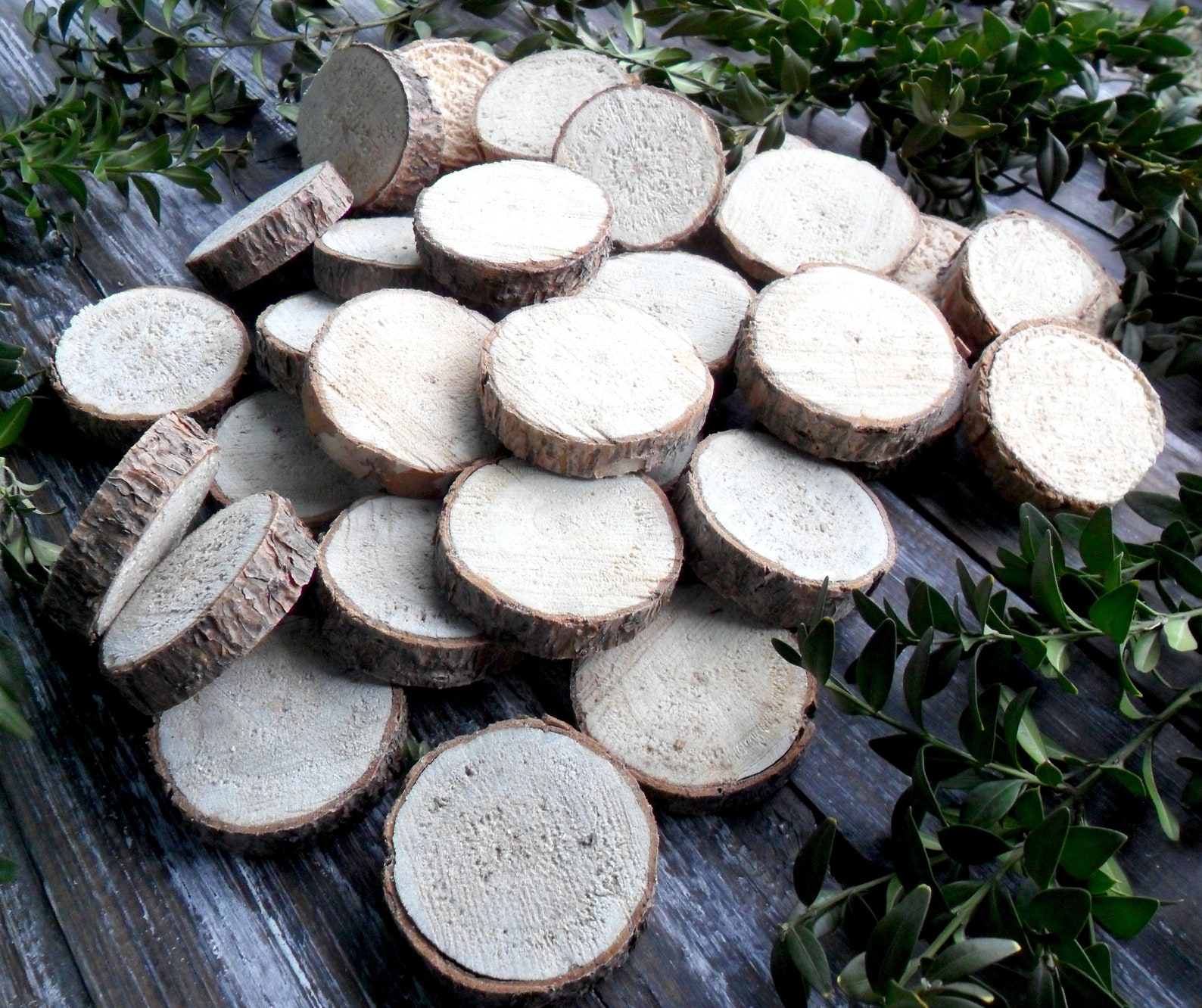 2 Small Wood Slices for Crafts Tree Slices Branch Slices - Etsy