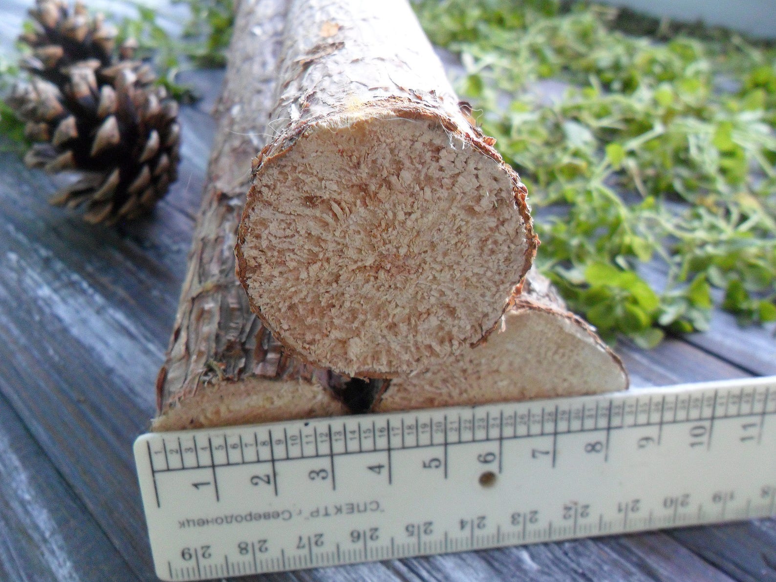 Set of 3 Pine Logs 31.50 Long Wood Product Forest Craft - Etsy