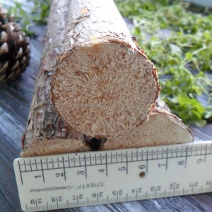 Set of 3 Pine Logs 31.50" Long Wood Product Forest Craft Supplies ...
