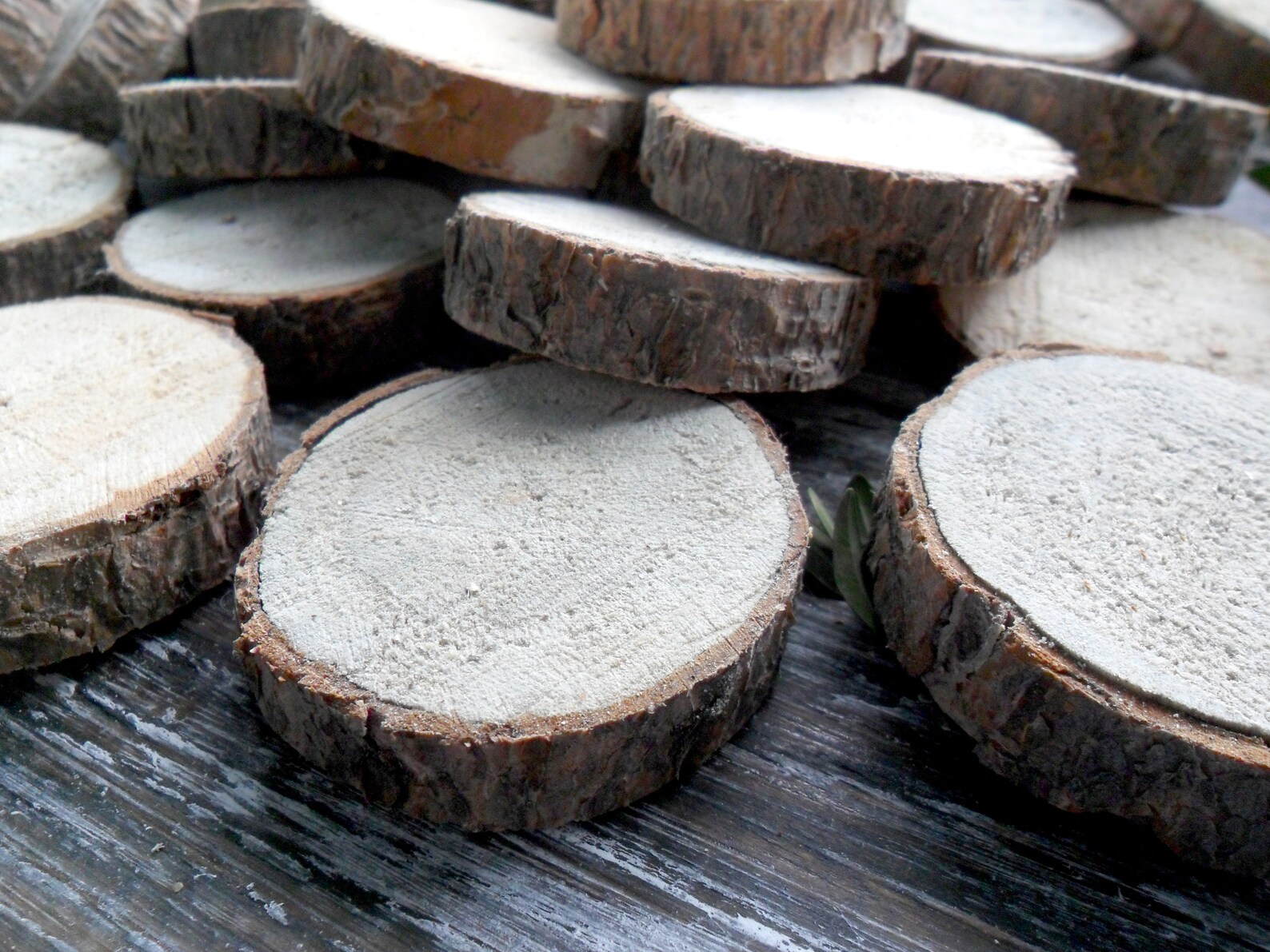 2 Small Wood Slices for Crafts Tree Slices Branch Slices | Etsy