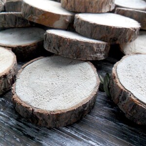 2" Small Wood Slices for Crafts Tree Slices Branch Slices Bulk Slice ...