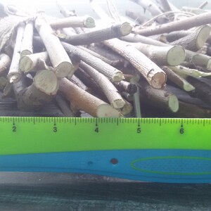 Wood Sticks Set of 20 Pcs 12" Long Branch Bundle Rustic Wedding Table ...