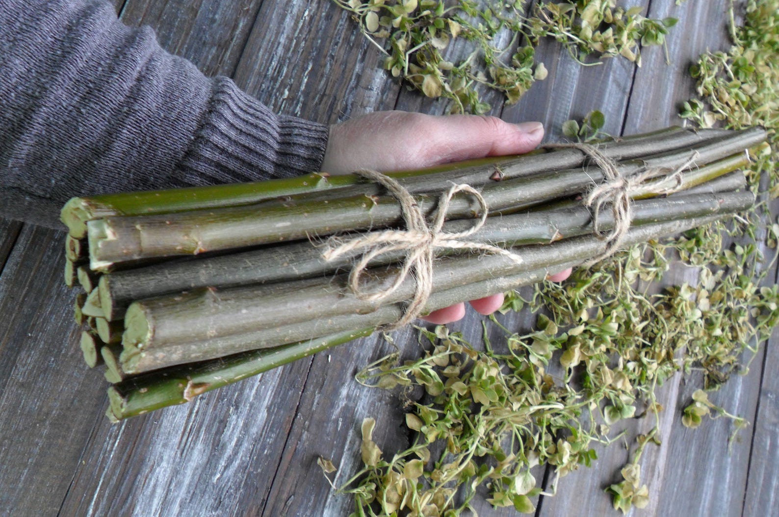 Willow Sticks Set of 20 Pcs 12 Long Dry Branches - Etsy