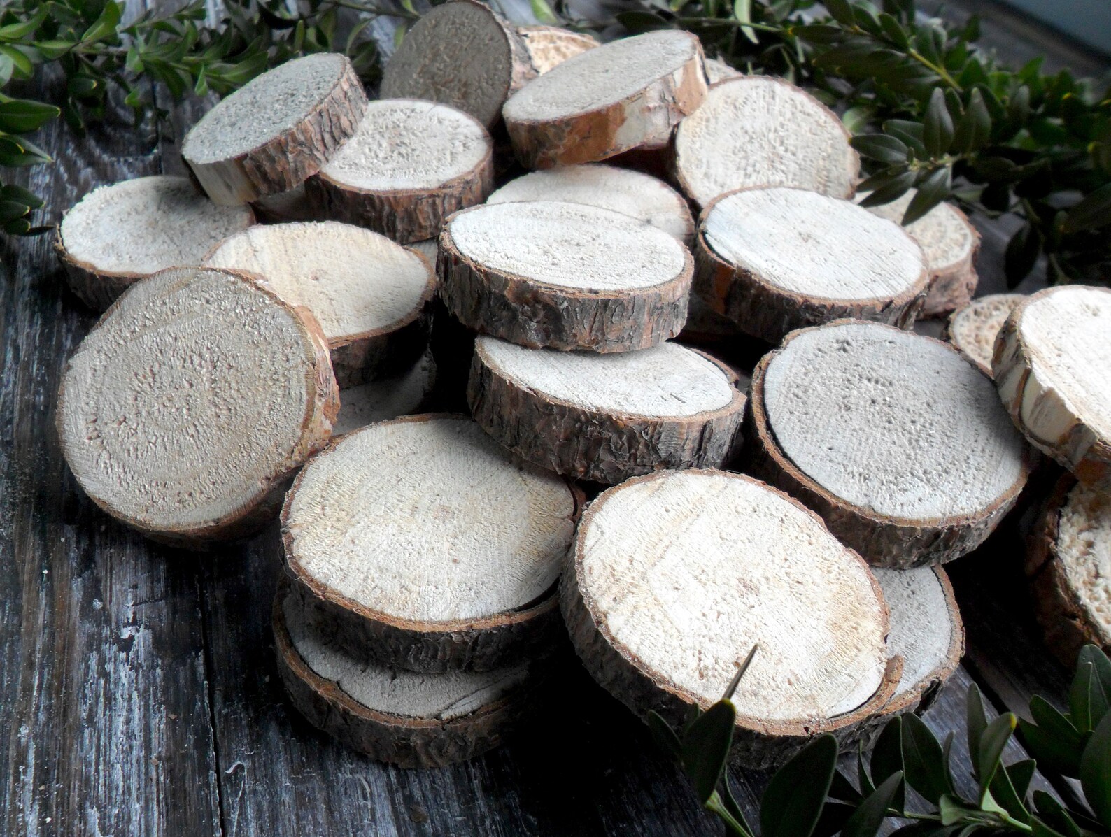 2 Small Wood Slices for Crafts Tree Slices Branch Slices | Etsy