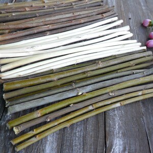 Wood Sticks 10" Mix of Wood Dried Twigs Cuts Pieces Twigs Bundle Twig ...