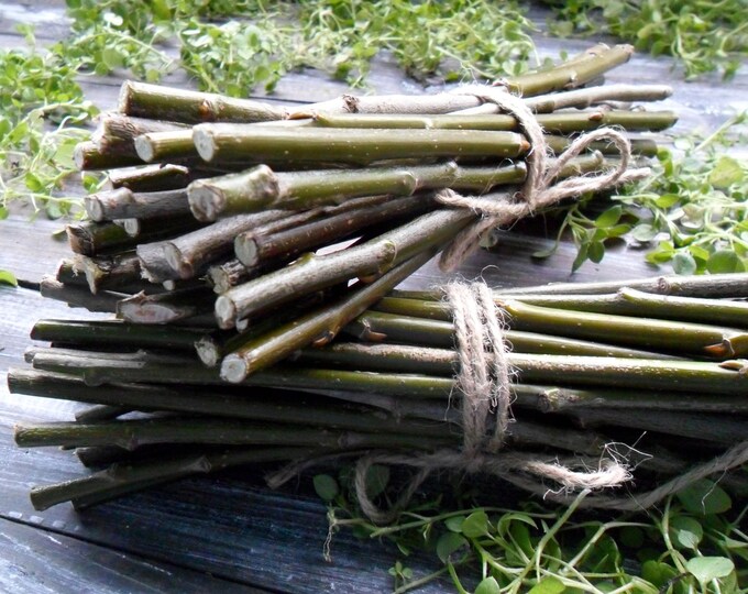 Willow Branches Straight Willow Sticks DIY Twig Bundles 25 Crafting ...