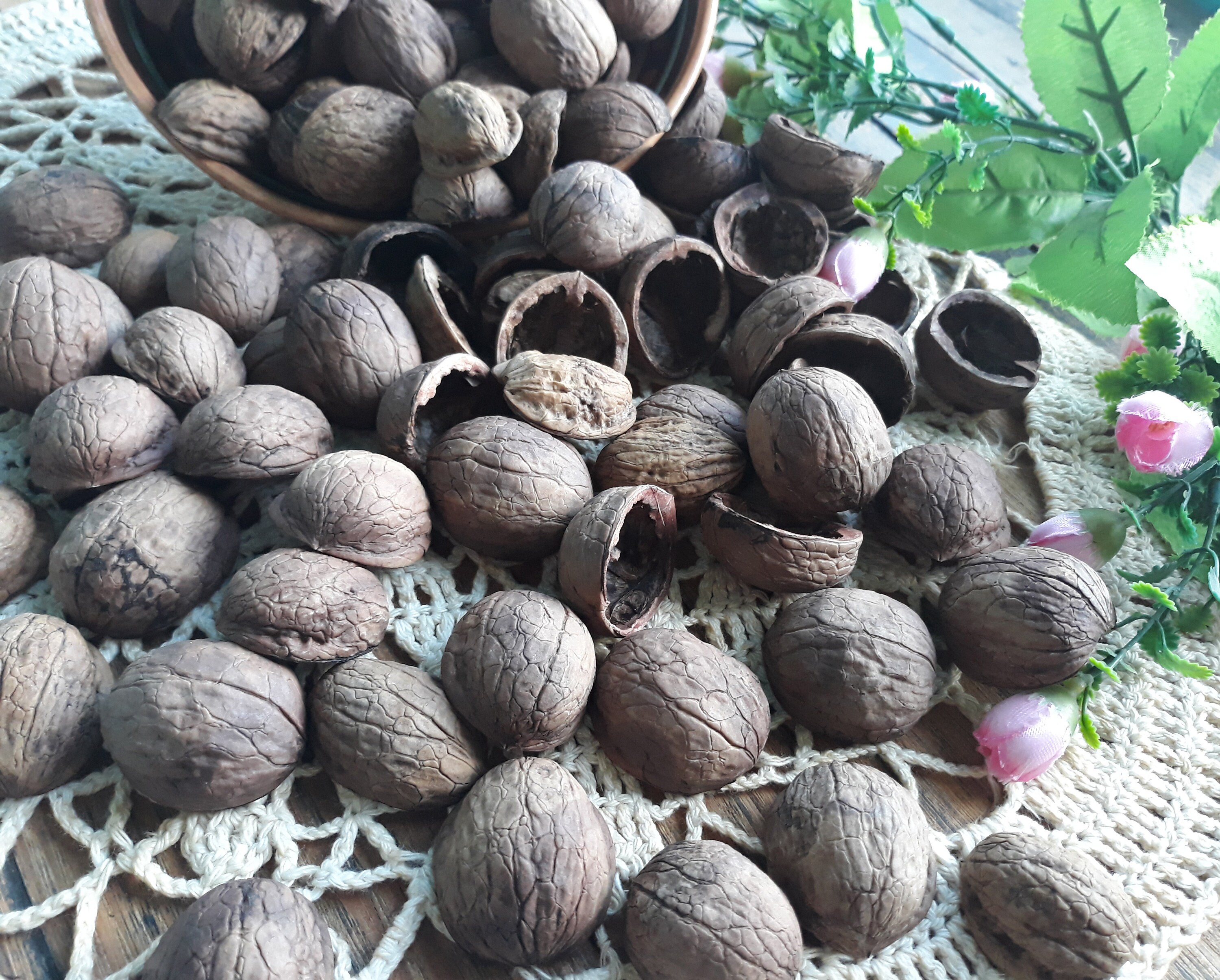 Set of 50 Walnut Shell Halves Round Organic Natural Ornament - Etsy