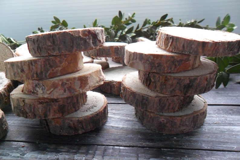 2 Small Wood Slices for Crafts Tree Slices Branch Slices - Etsy