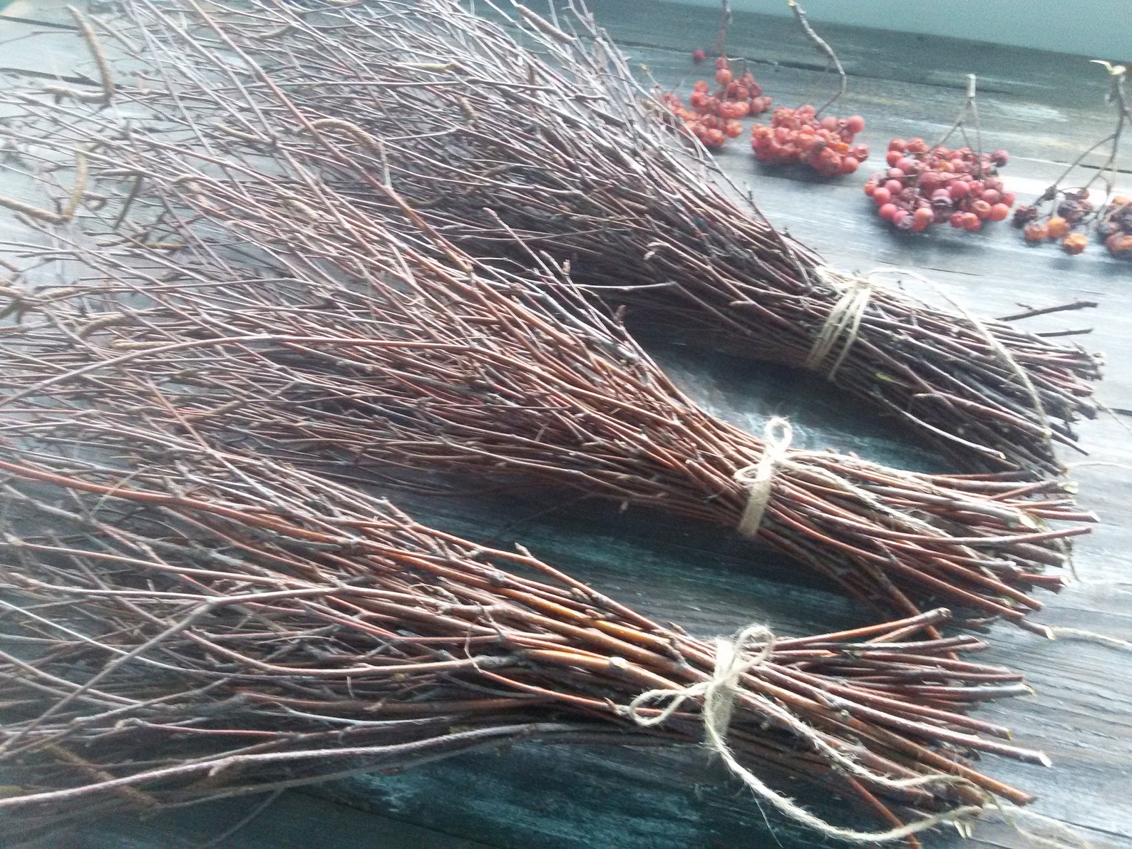 Decorative Birch branches Forest Birch twigs bundle Woodland | Etsy