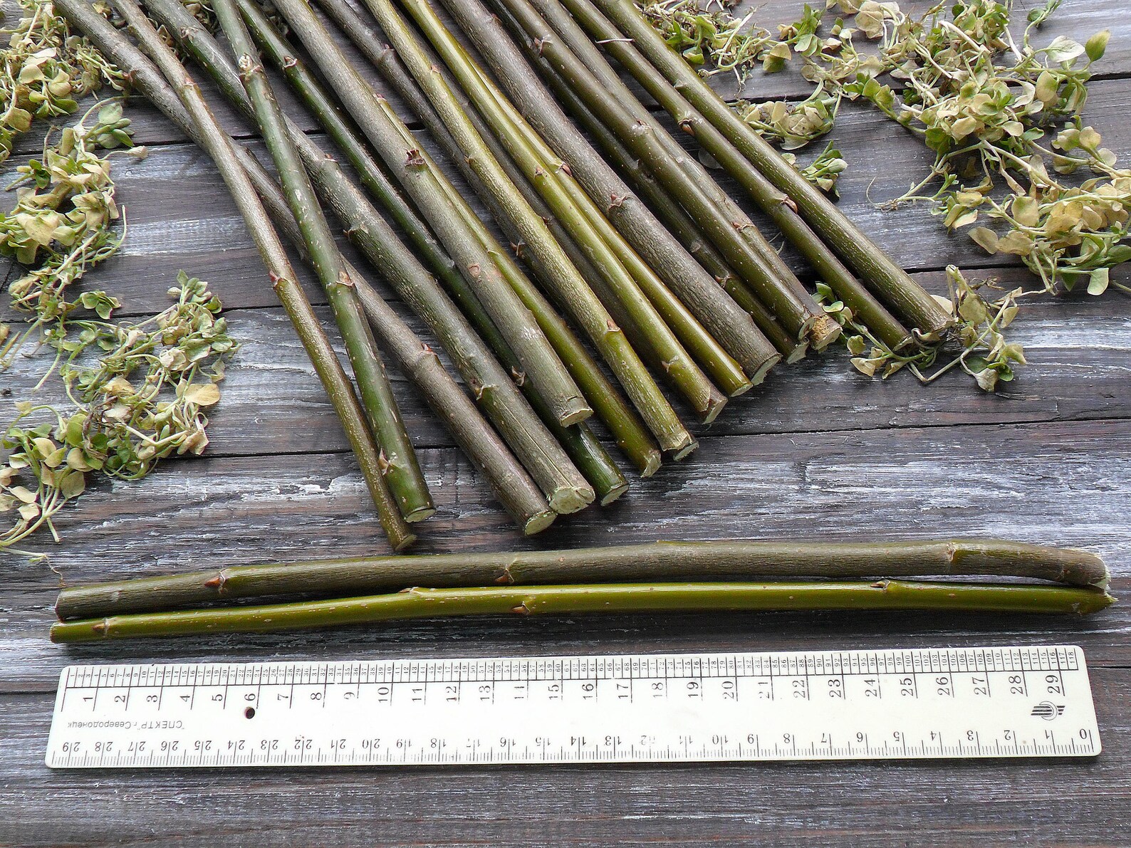 Willow Sticks Set of 20 Pcs 12 Long Dry Branches - Etsy