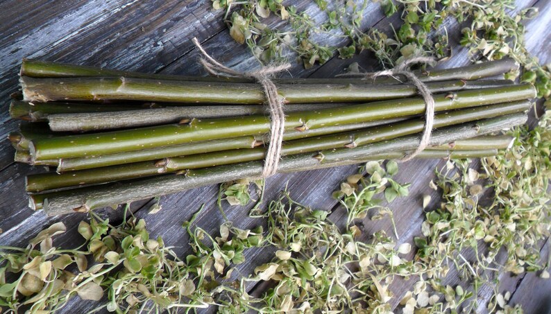 Willow Sticks Set of 20 Pcs 12 Long Dry Branches - Etsy