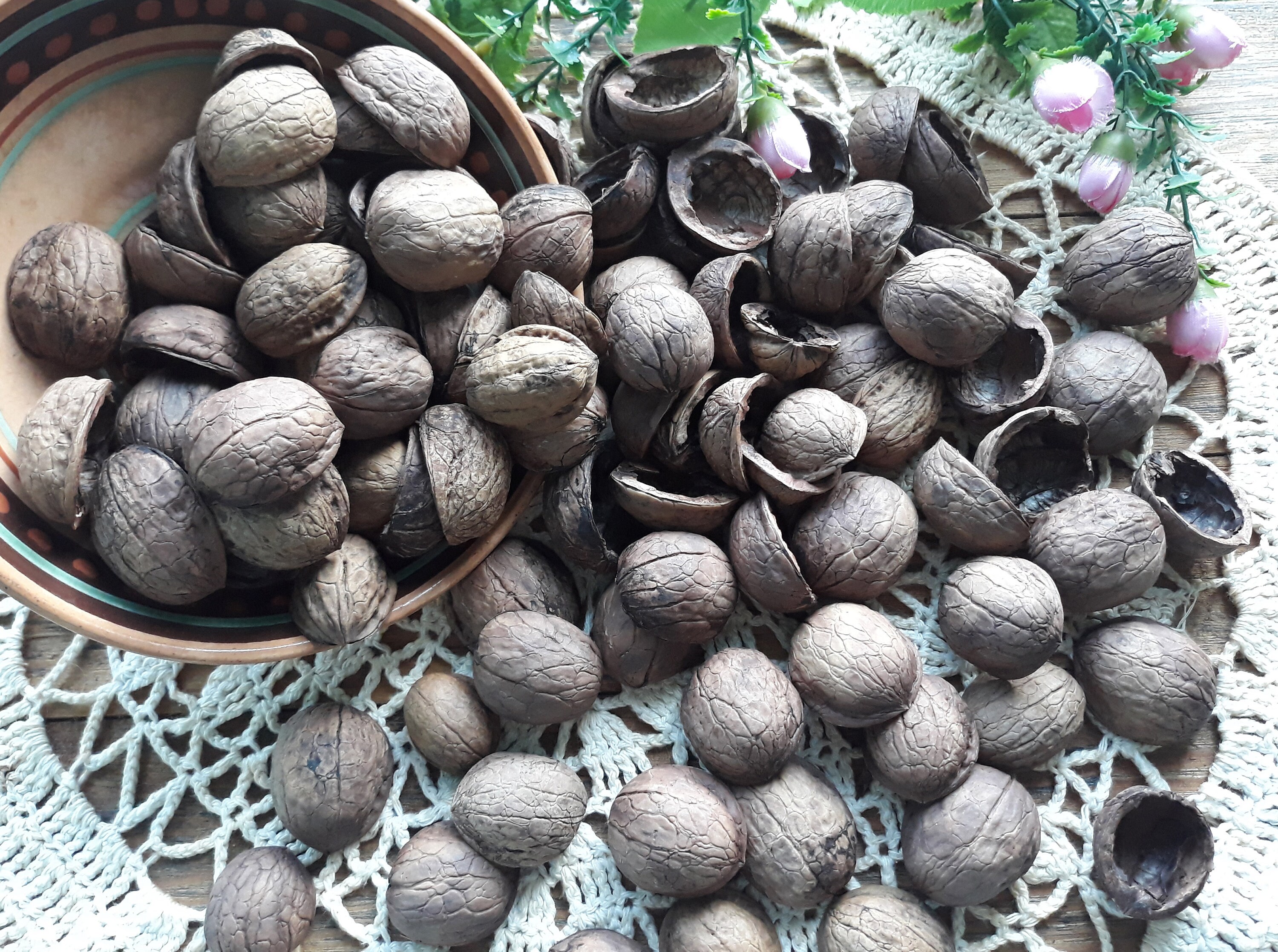 Set of 50 Walnut Shell Halves Round Organic Natural Ornament - Etsy