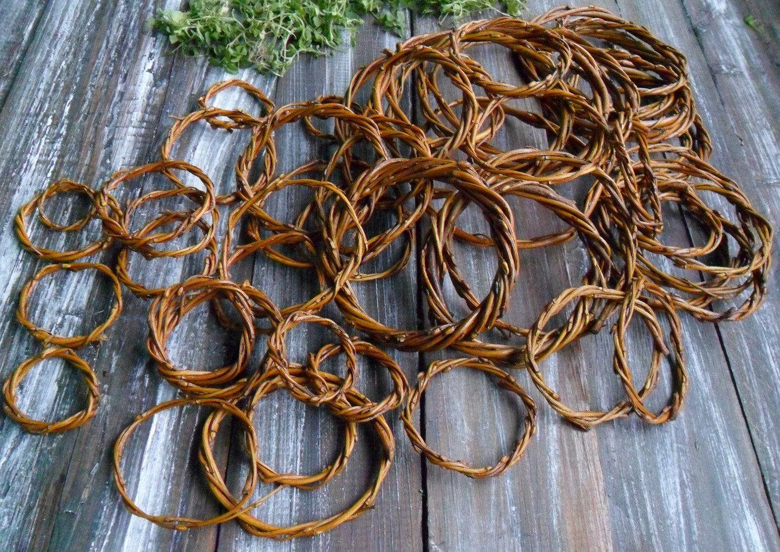 10 Rings of Willow Branches 2 6 Natural Willow | Etsy