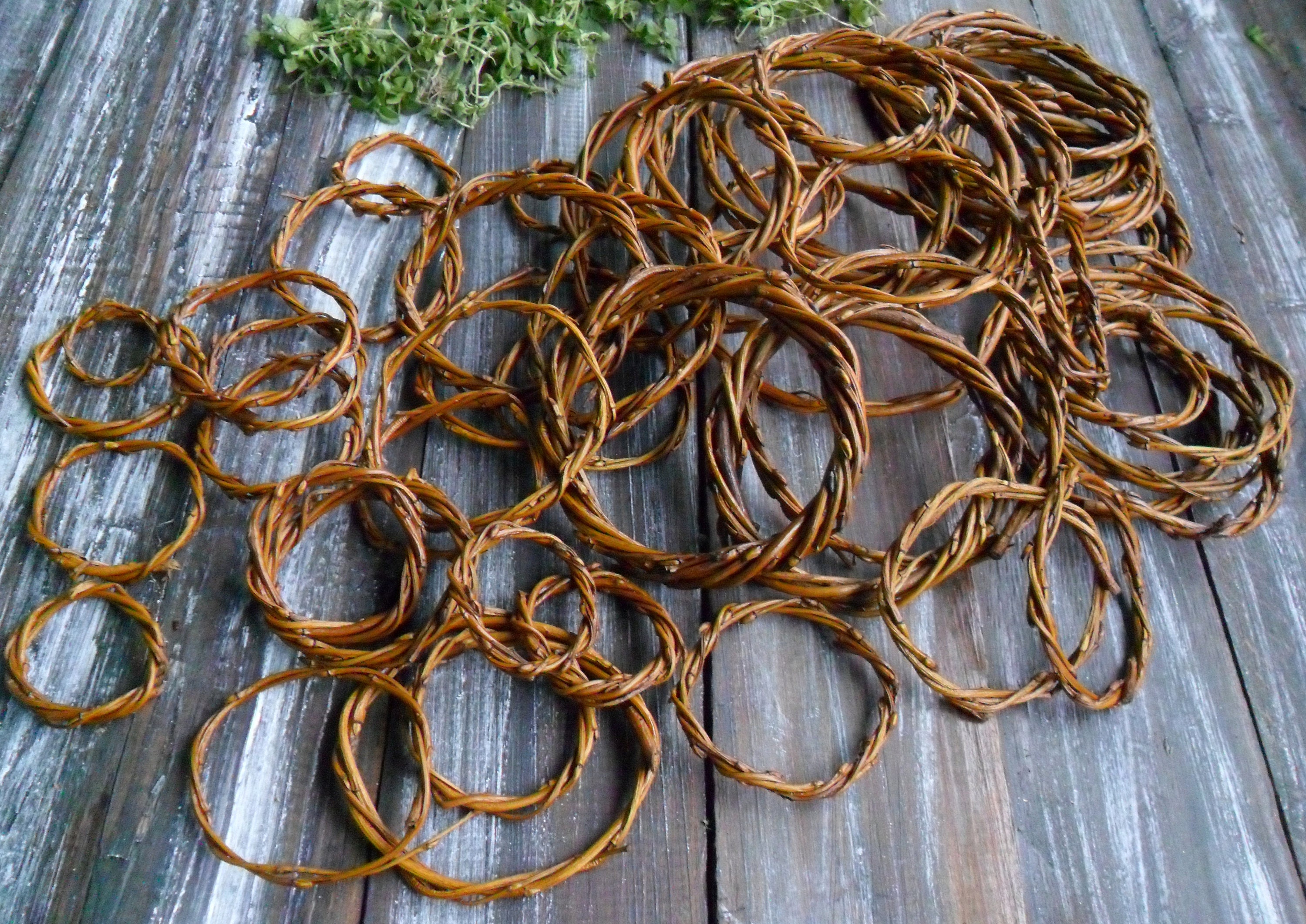 10 Rings of Willow Branches 2 6 Natural Willow - Etsy Denmark